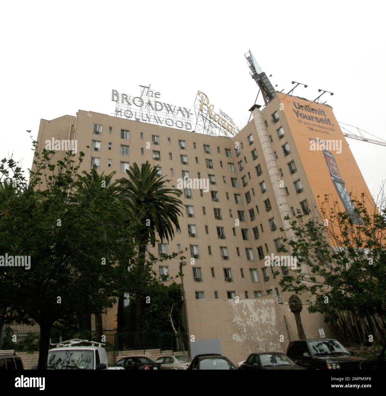 Exclusive!! Charlize Theron has reportedly become the proud owner of a ...
