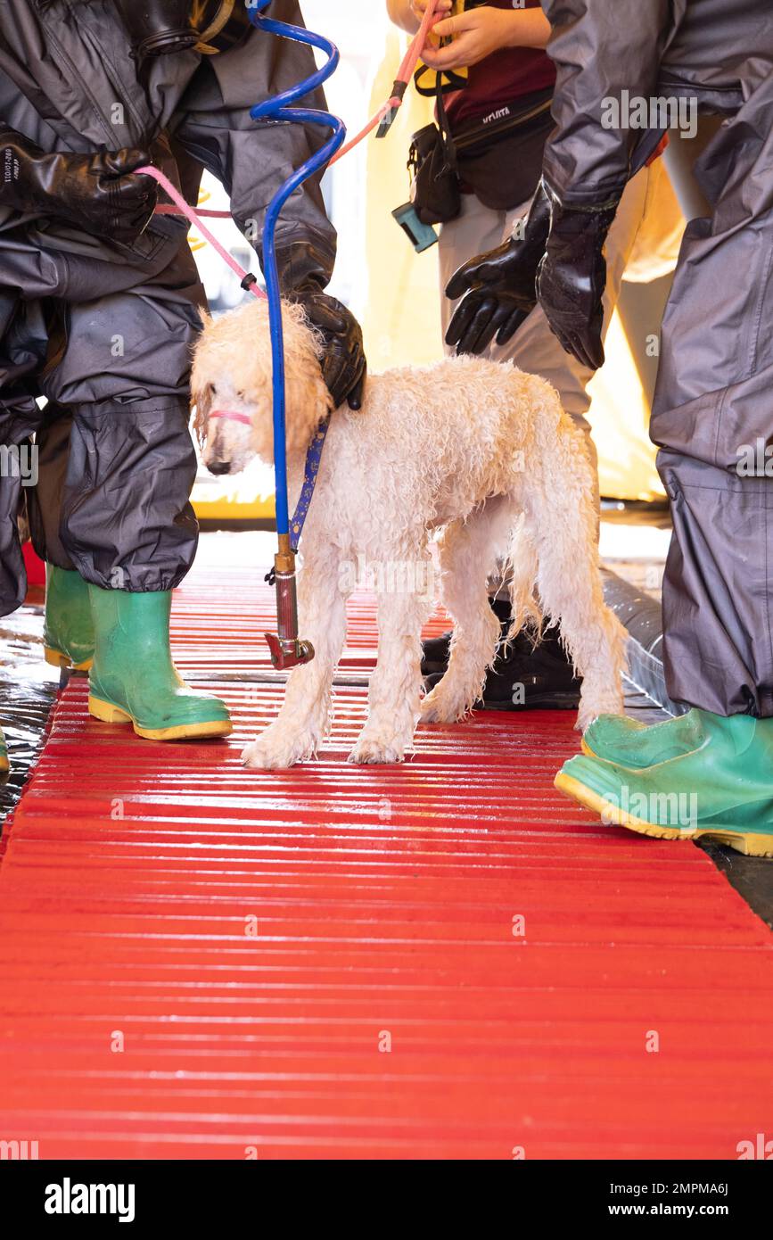 U.S. Marines with Chemical Biological Incident Response Force wash ...