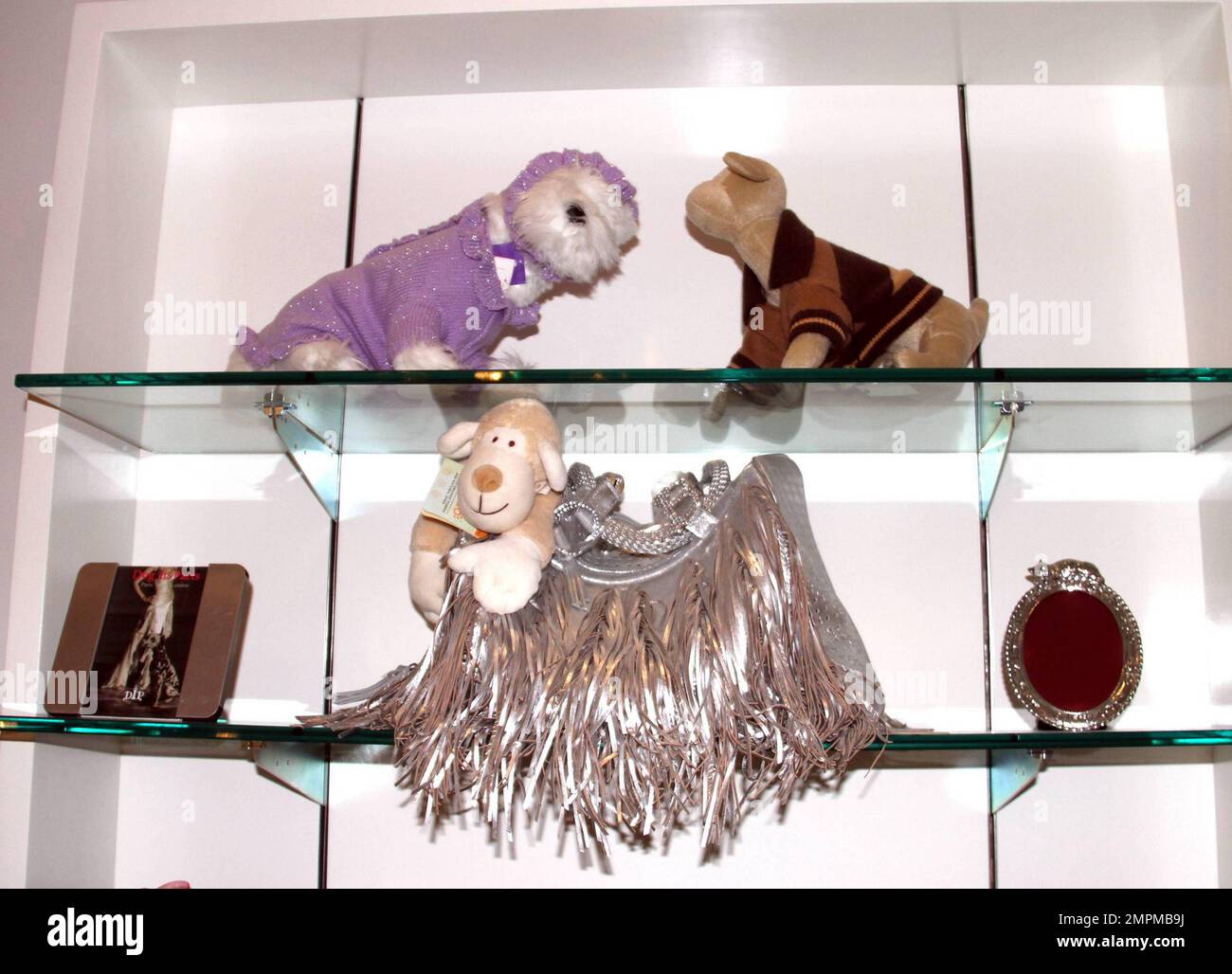 EXCLUSIVE!! This is Chateau Poochie, the world's most exclusive hotel ...