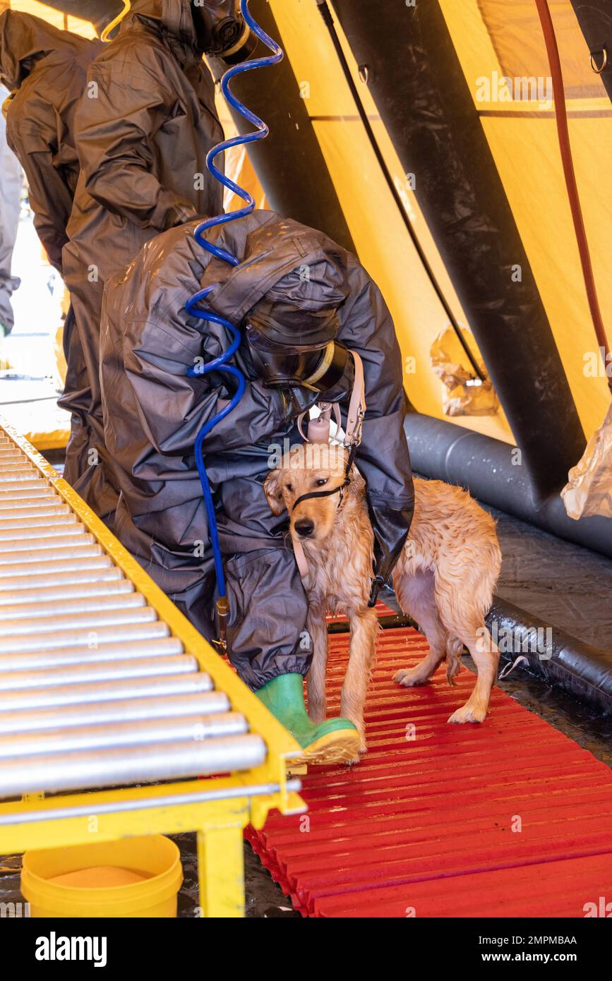 U.S. Marines with Chemical Biological Incident Response Force wash ...