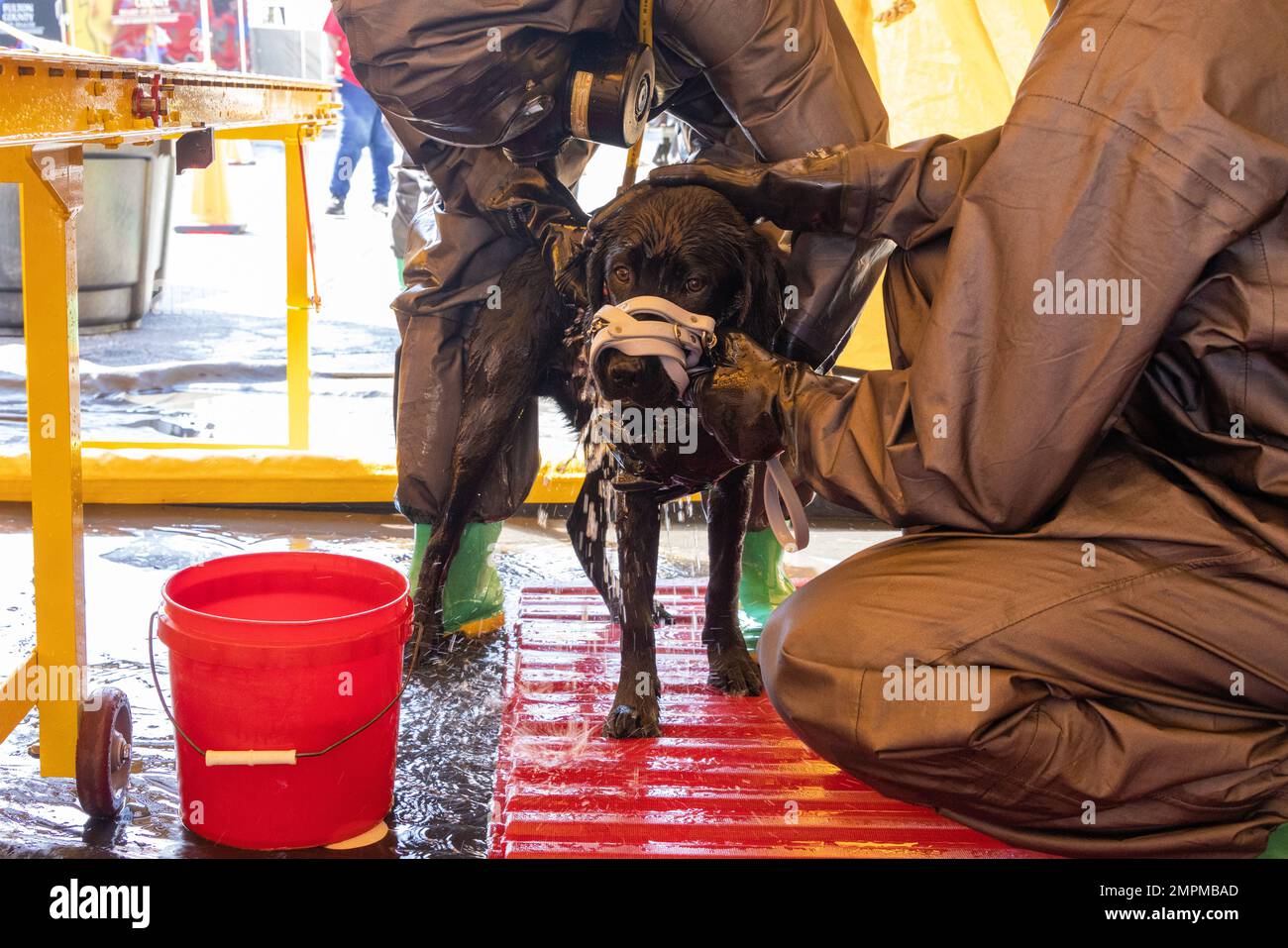 U.S. Marines with Chemical Biological Incident Response Force wash ...