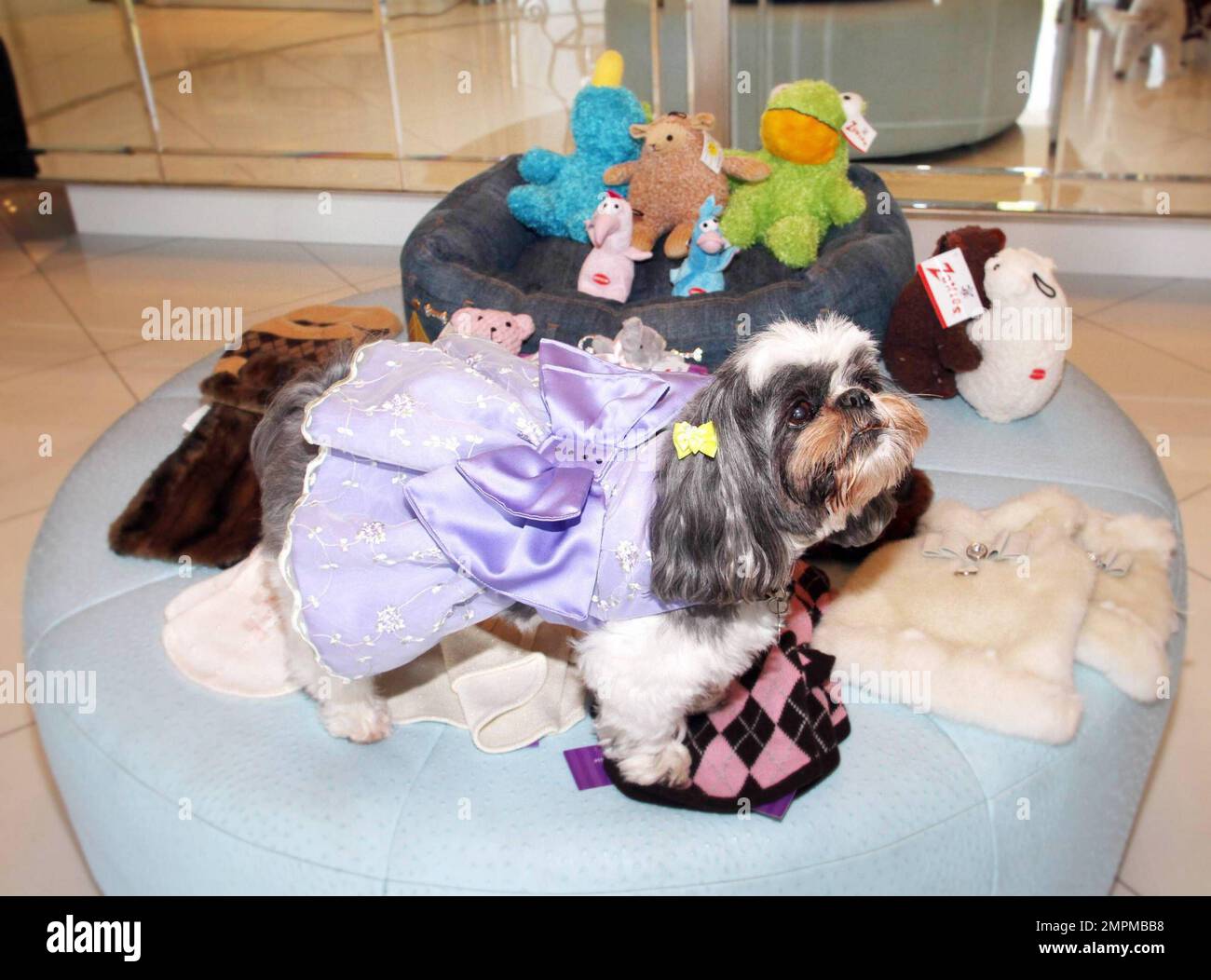 EXCLUSIVE!! This is Chateau Poochie, the world's most exclusive hotel ...