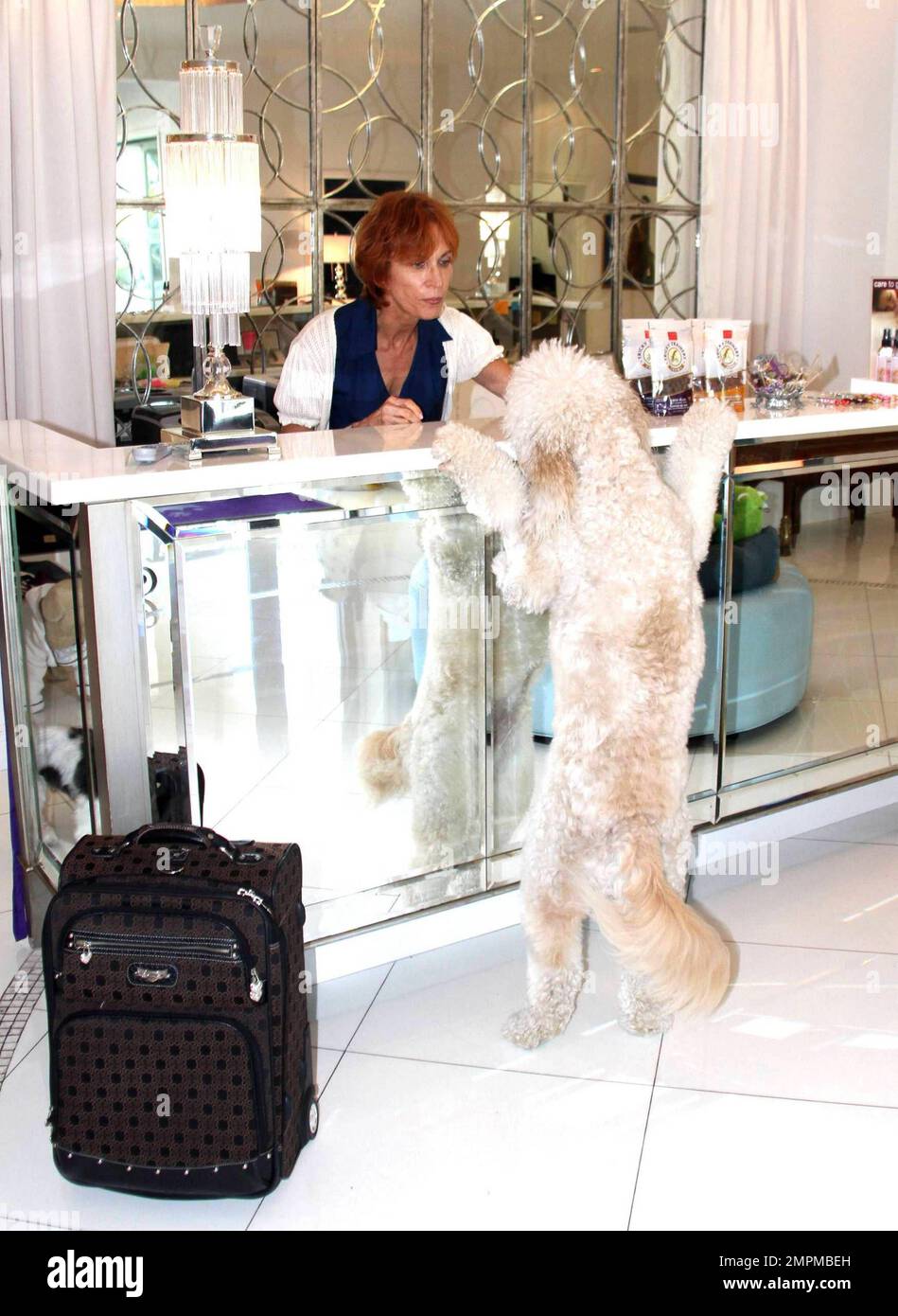 EXCLUSIVE!! This is Chateau Poochie, the world's most exclusive hotel ...