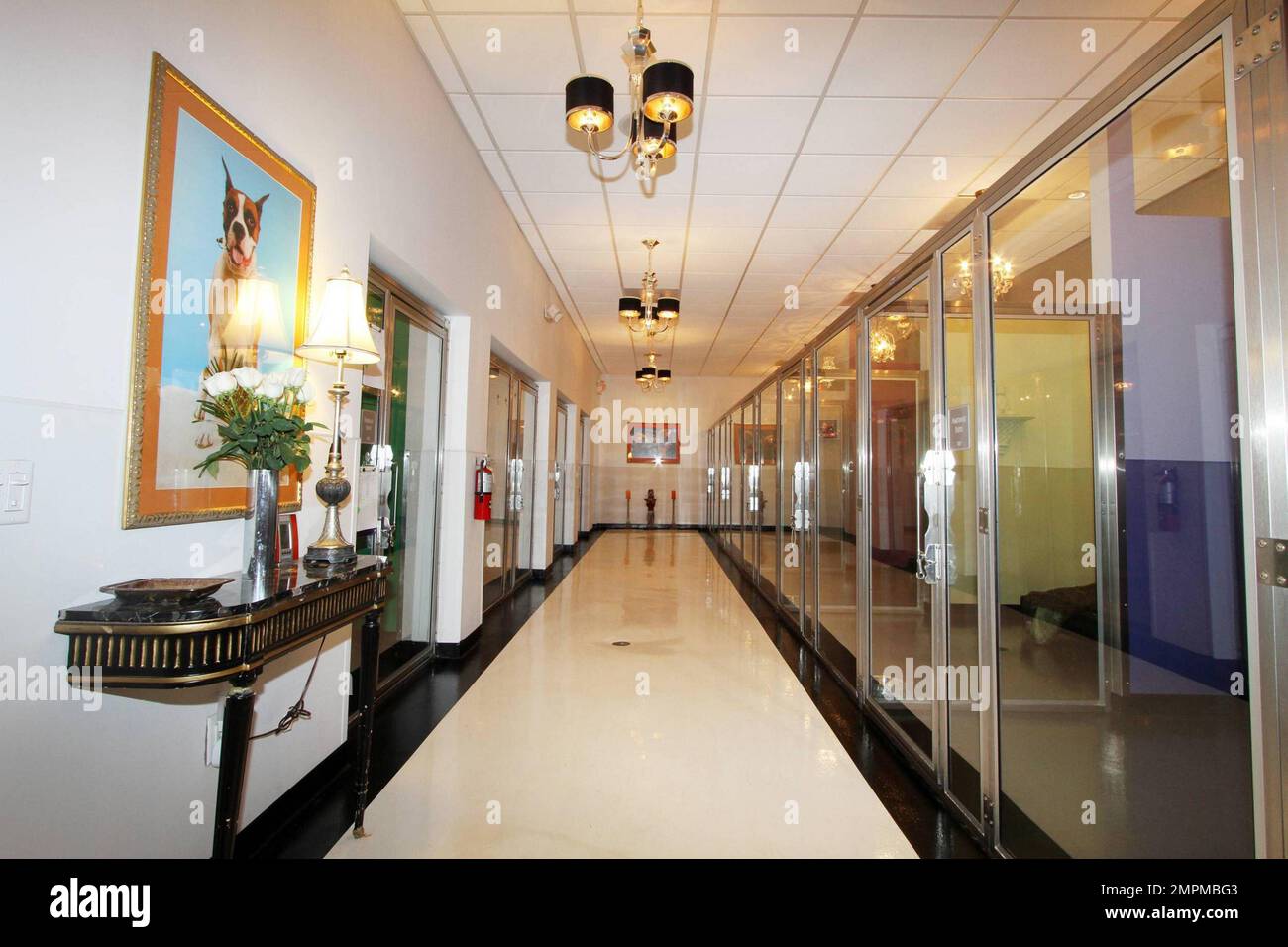 EXCLUSIVE!! This is Chateau Poochie, the world's most exclusive hotel ...
