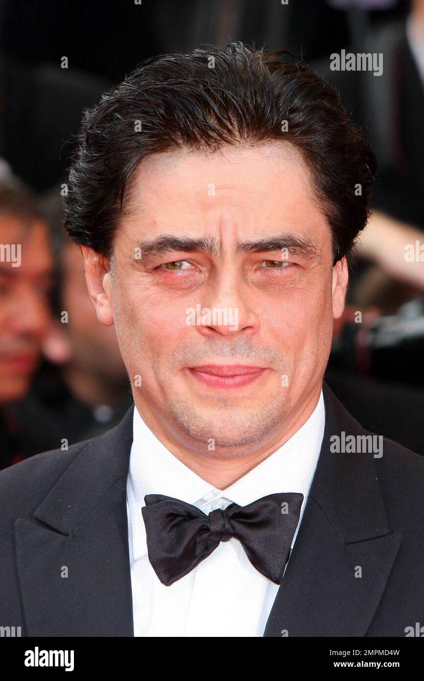 Benicio Del Toro attends the premiere of "Che" at the Cannes Film ...