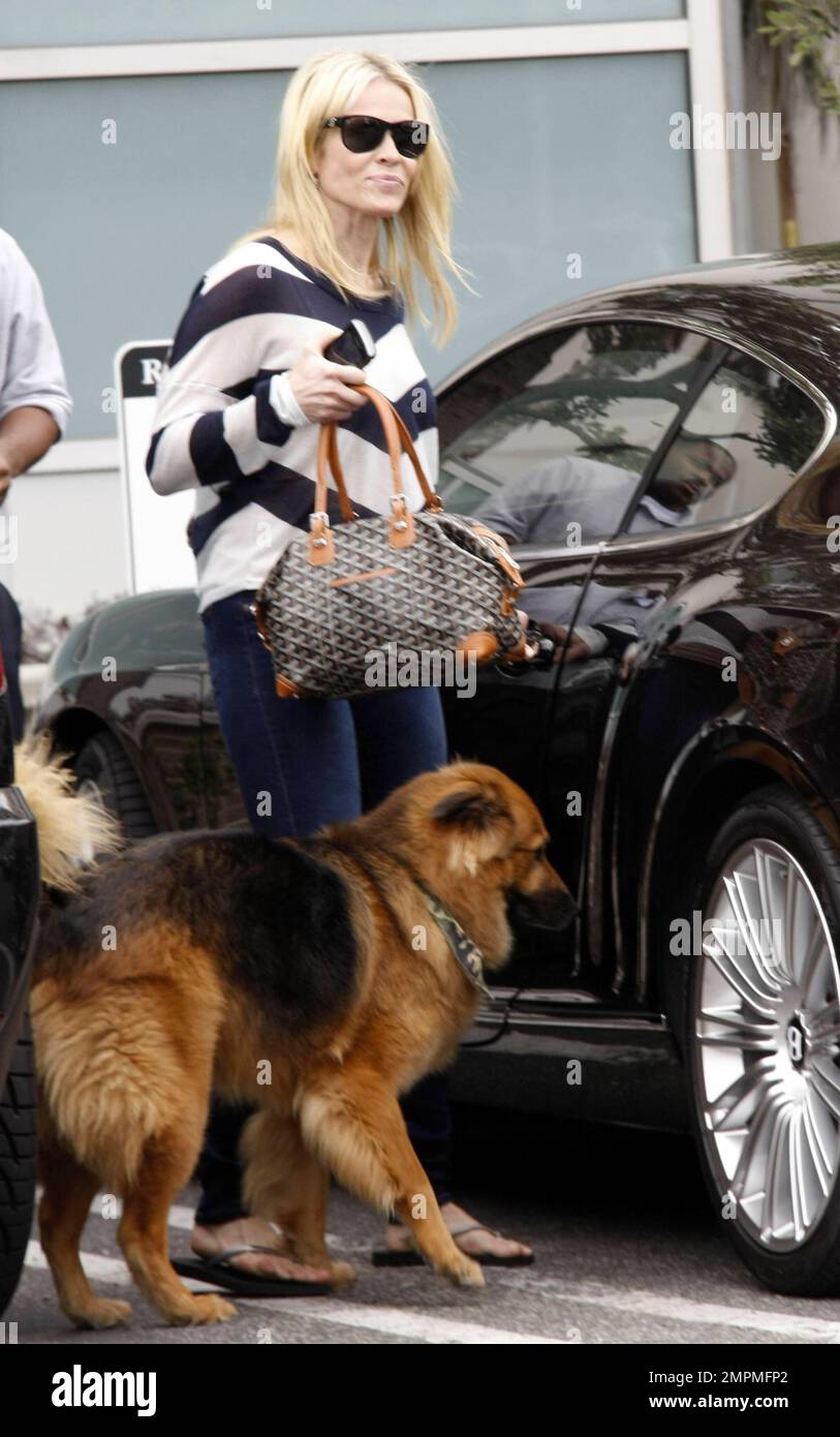 Chelsea handler dog hi-res stock photography and images - Alamy