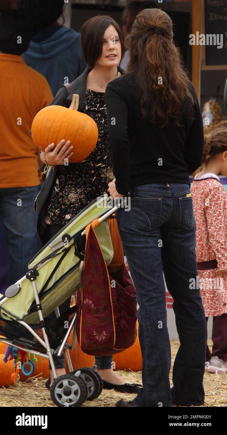 EXCLUSIVE!! Chelsea Hobbs shops for for pumpkins at Mr Bones Pumpkin ...