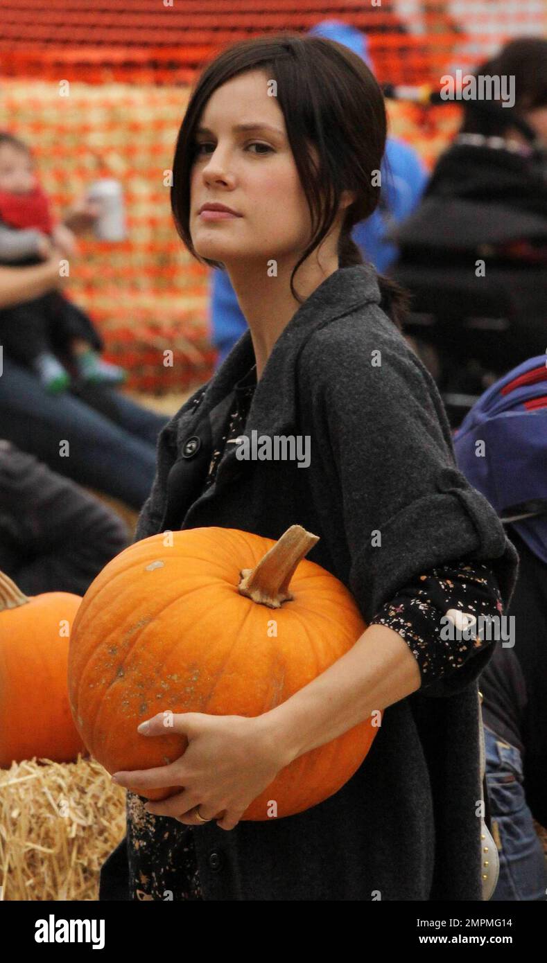 EXCLUSIVE!! Chelsea Hobbs shops for for pumpkins at Mr Bones Pumpkin ...