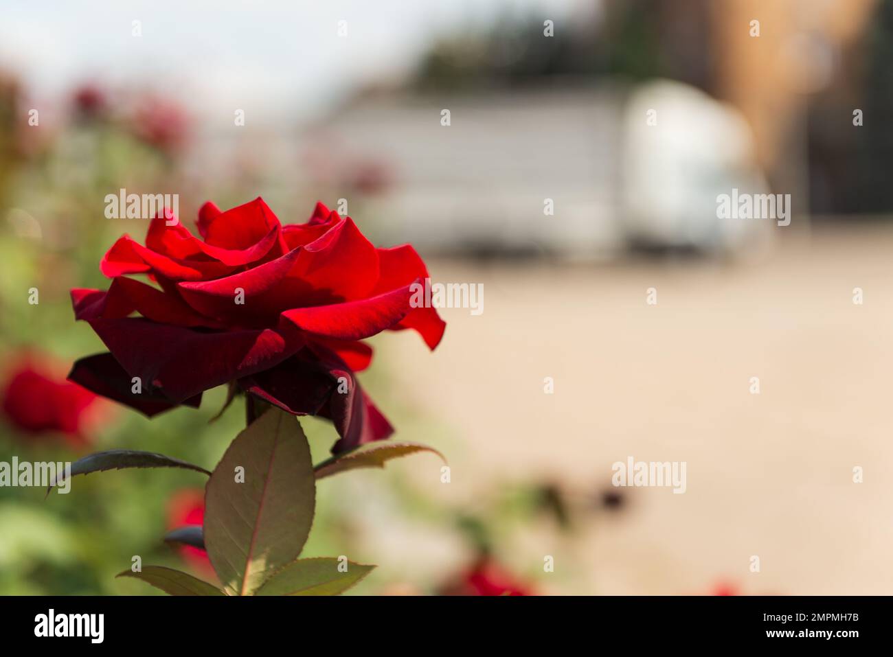 Lorry background hi-res stock photography and images - Alamy