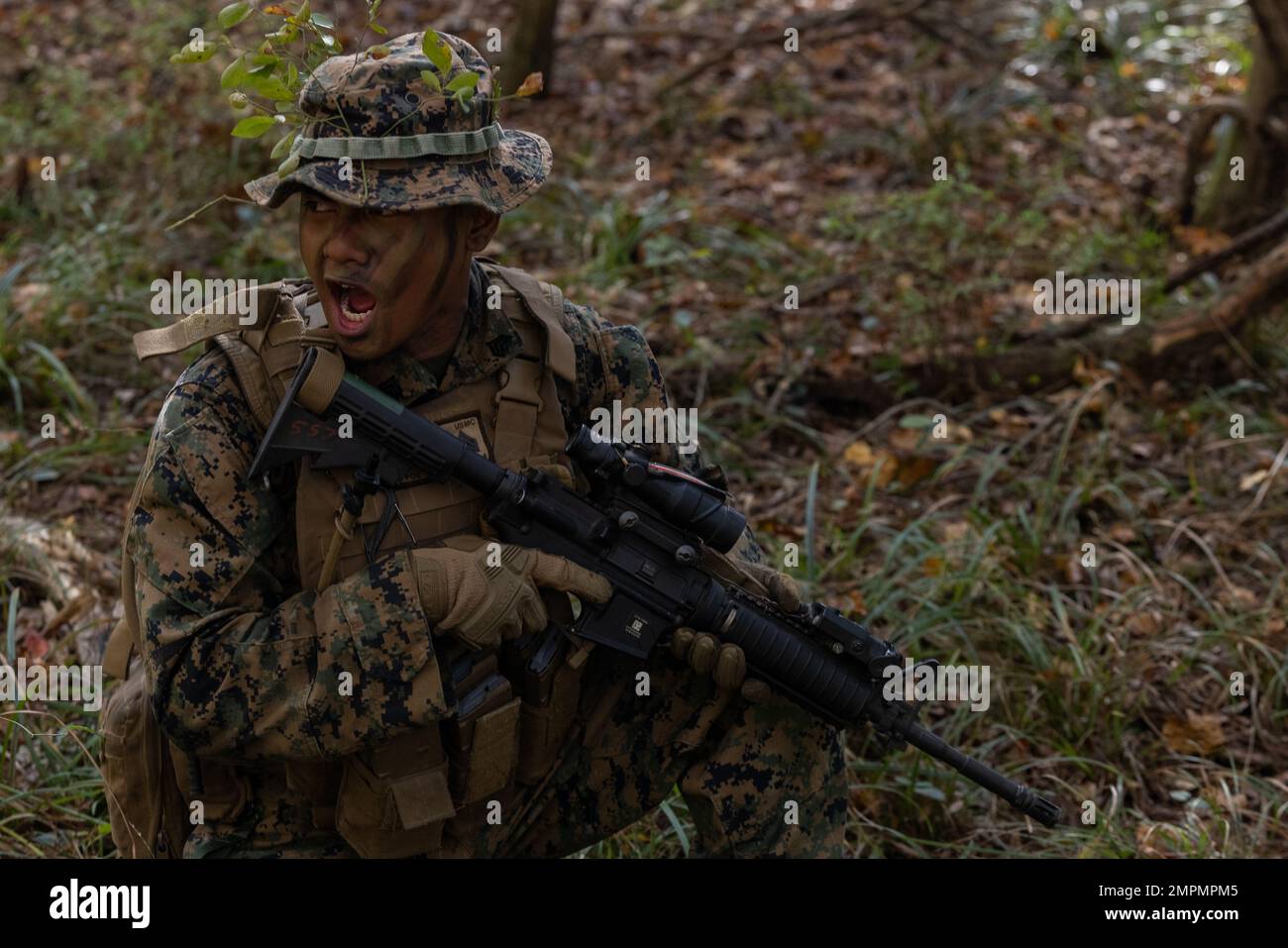 U.S. Marine Corps Sgt. Helwin Acabal, combat engineer, Marine Wing ...