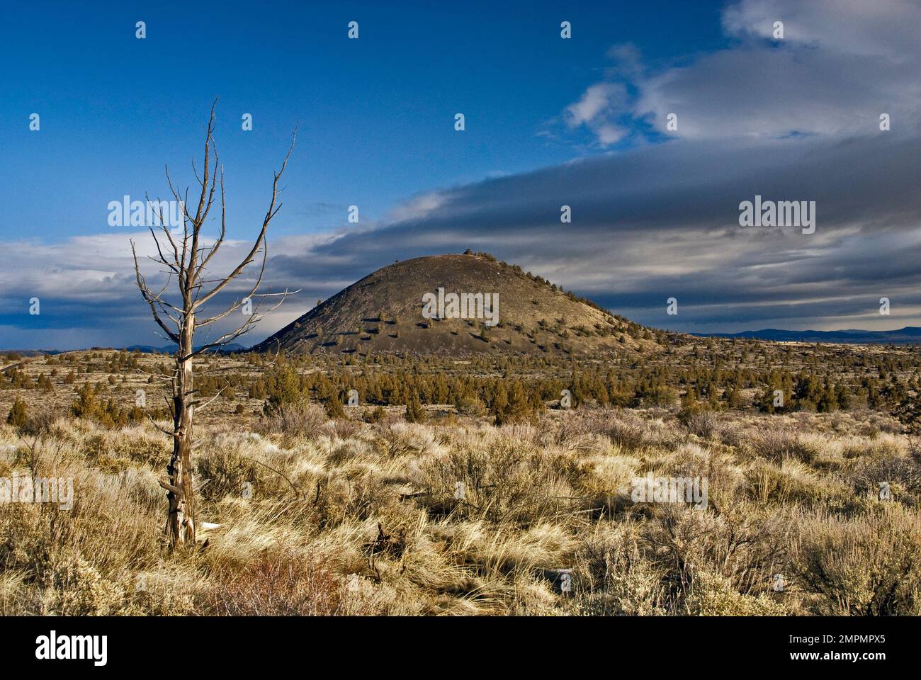 Day of the open monument hi-res stock photography and images - Alamy