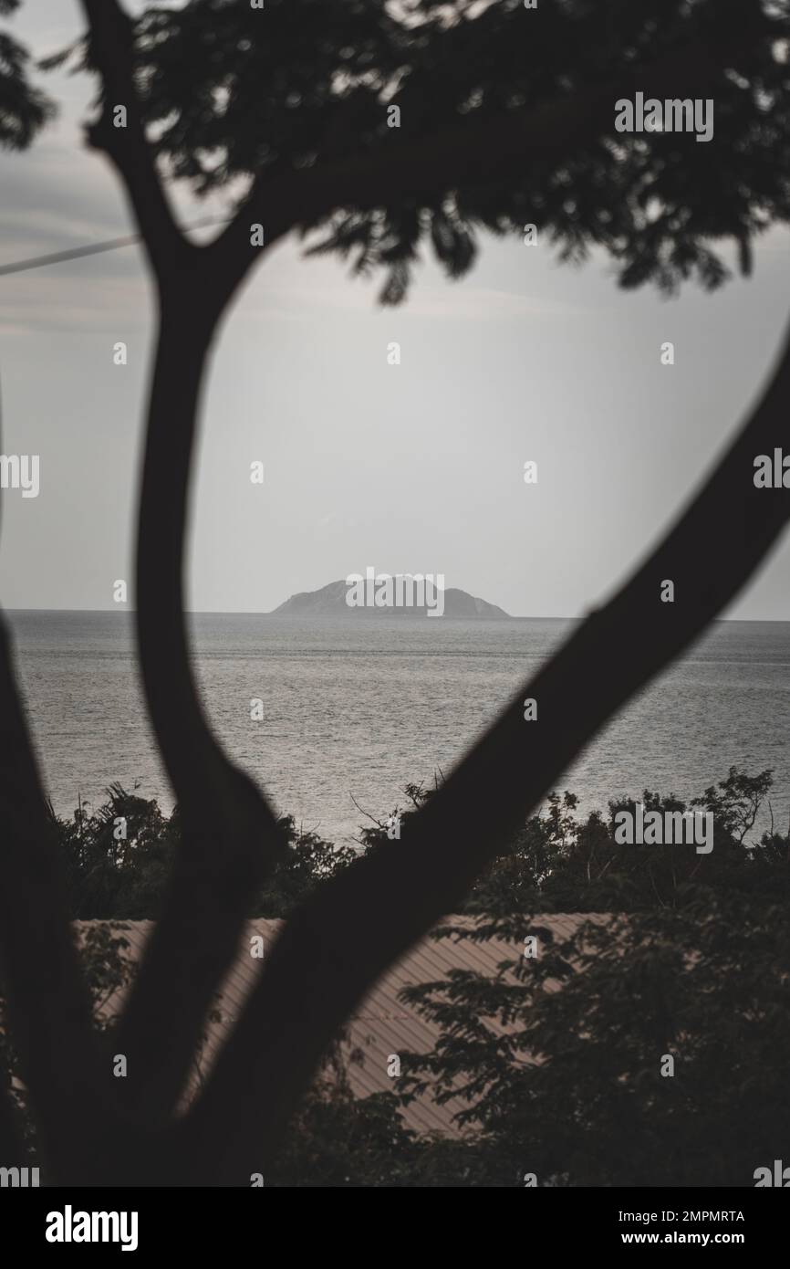 A vertical shot of the sea and a faraway island from a tree Stock Photo ...