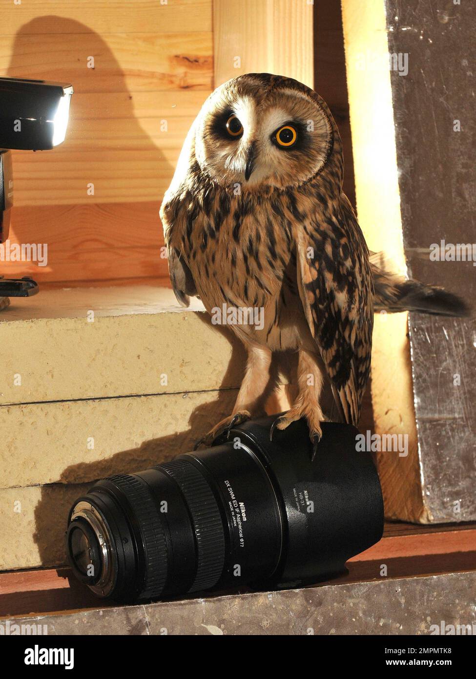 UK - S AMERICA, GERMANY, AUSTRIA, ITALY, SPAIN, PORTUGAL, AUSTRALIA ...