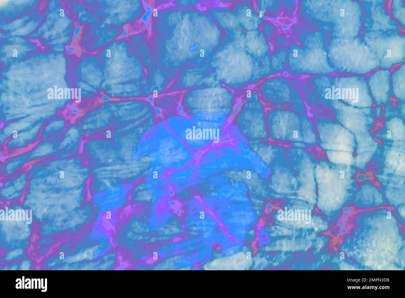 Abstract photo of glow neon color water surface texture with reflection ...