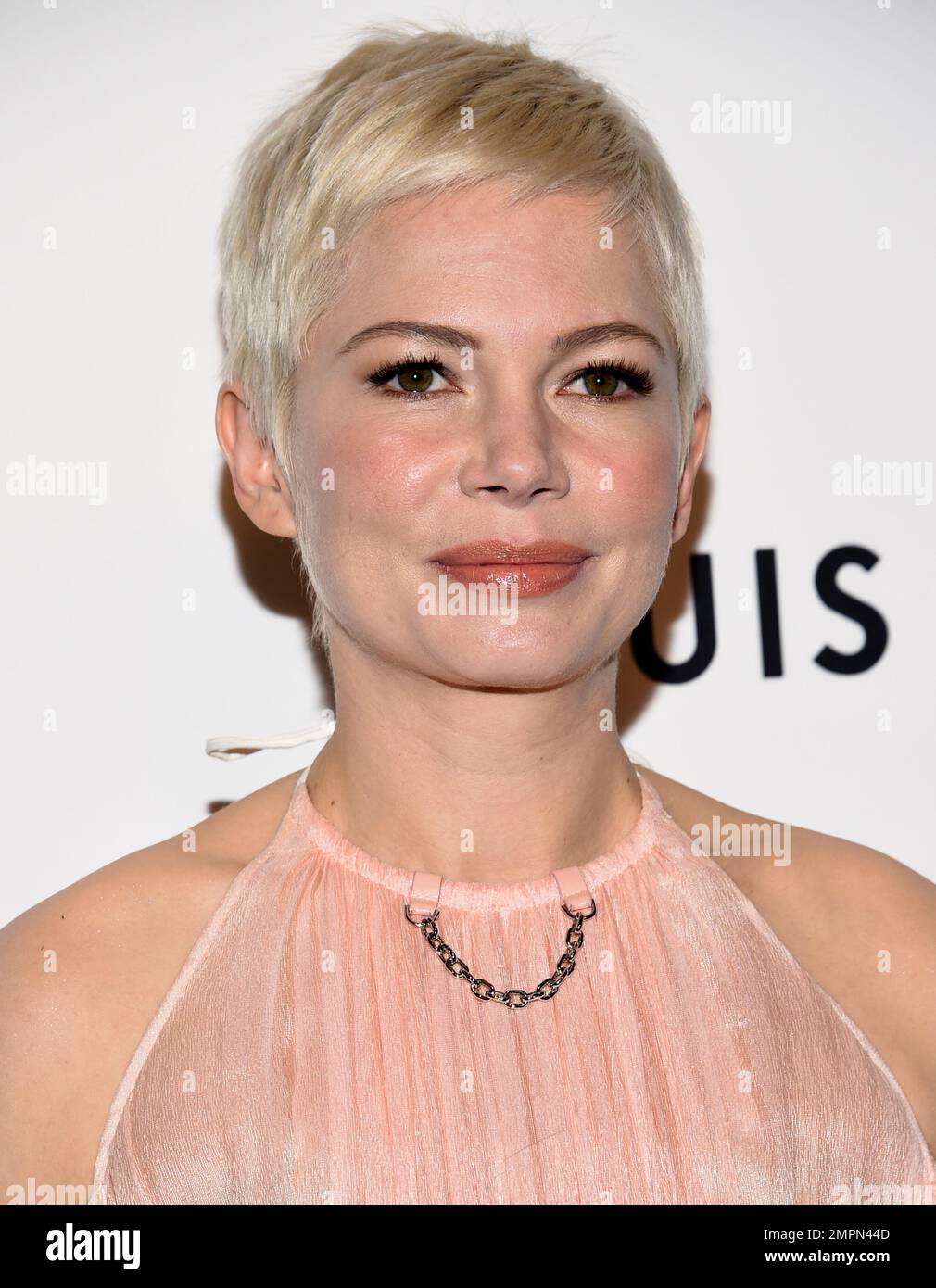 Actress Michelle Williams attends the Lincoln Center Corporate Fund ...