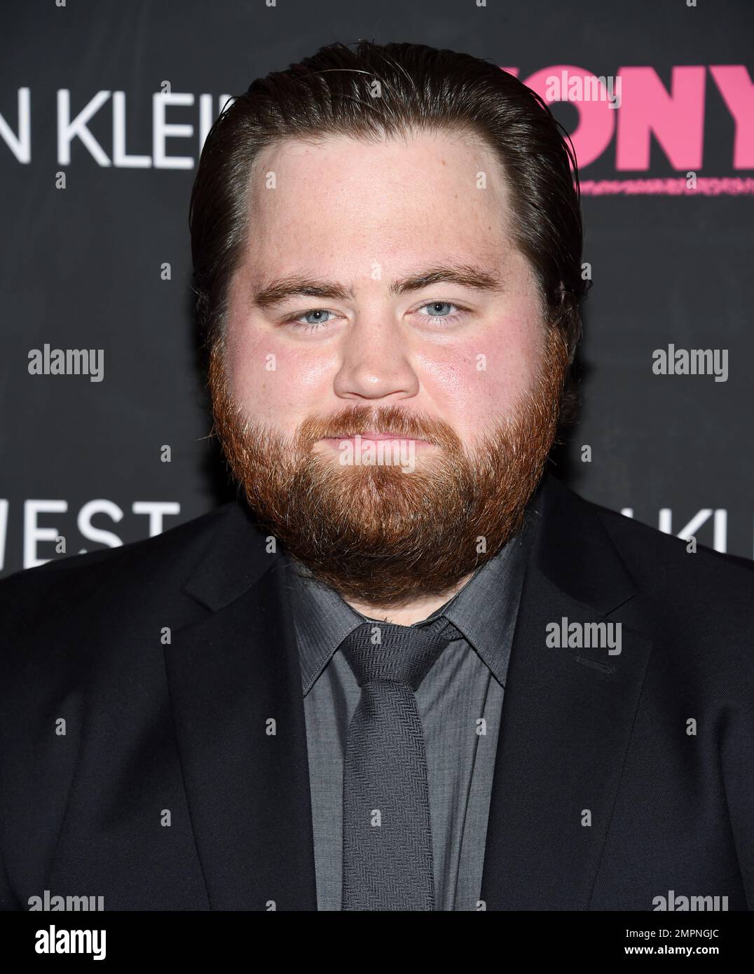 Actor Paul Walter Hauser attends the premiere of "I, Tonya" at Village ...