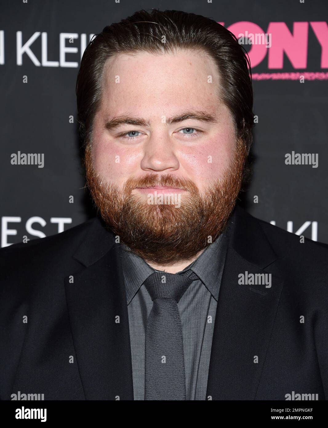 Actor Paul Walter Hauser attends the premiere of "I, Tonya" at Village ...