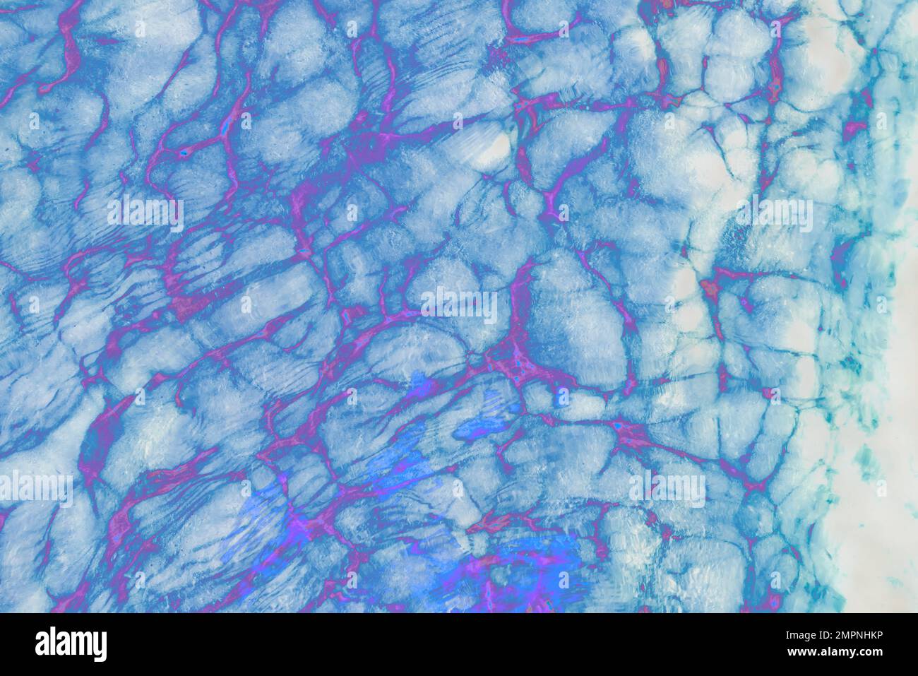 Abstract photo of glowing bright neon color water surface texture with ...