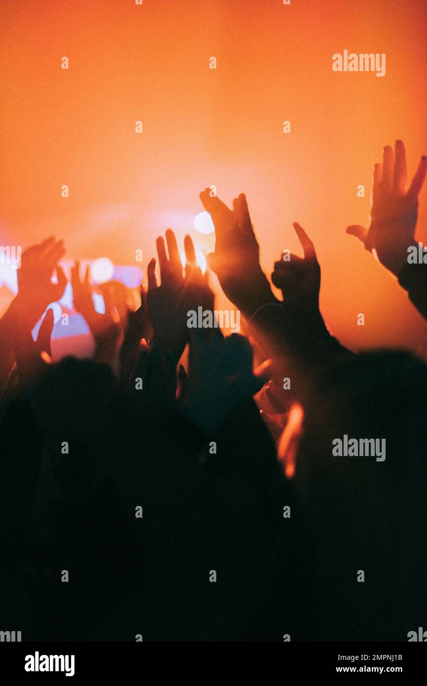 Silhouette raised hands of men and women dancing at nightclub Stock ...