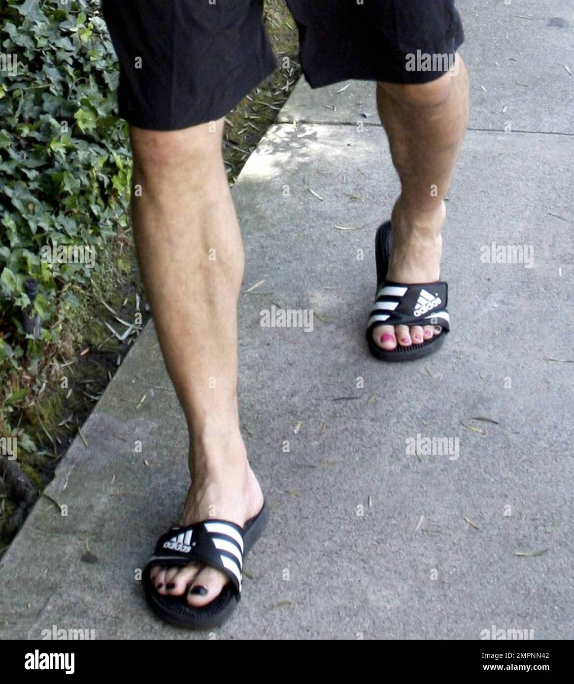 Chuck liddell leaves dance studio hi-res stock photography and images ...