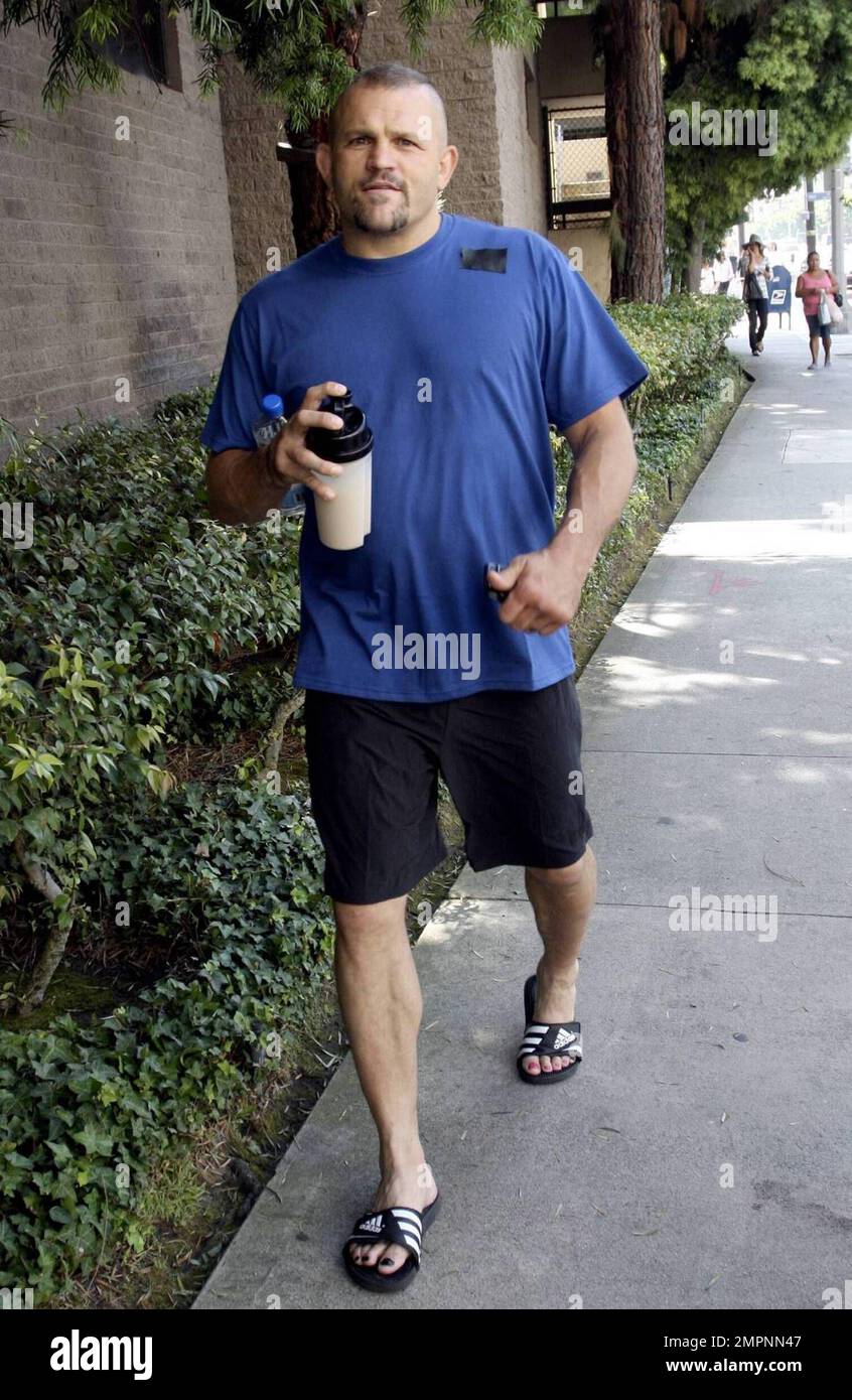 Ultimate Fighting Championship light heavyweight champion Chuck Liddell ...