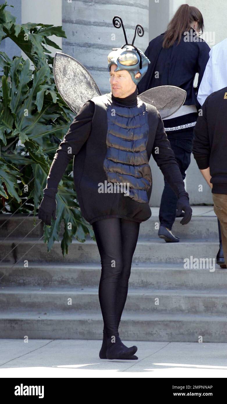 EXCLUSIVE!! A character actor was spotted wearing a bug costume for a possible spring segment on ...