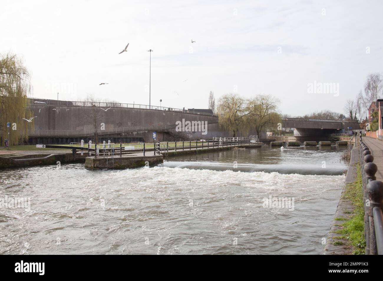 Views along the River Kennet in Reading, Berkshire in the UK Stock ...