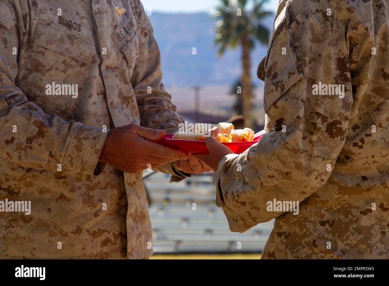U.S. Marine Corps Col. David Suggs, left, chief of staff, Marine Air ...
