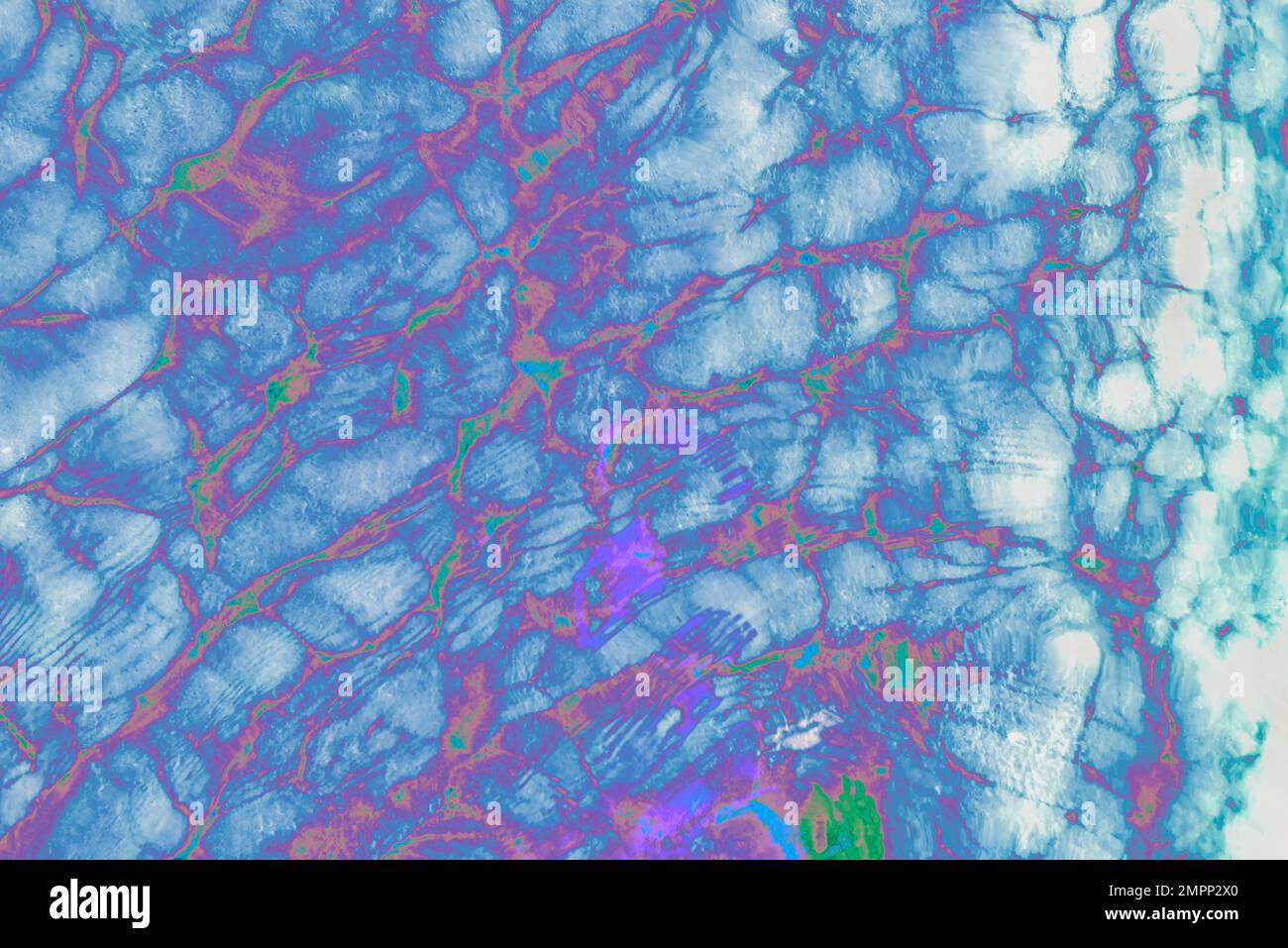 Abstract photo of glow neon bright color texture of unusual water ...