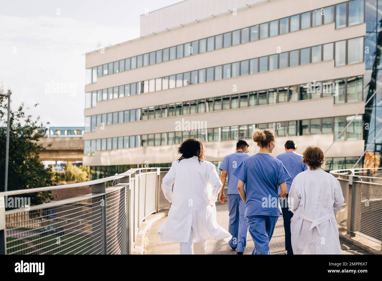 Male and female healthcare professional walking on bridge leading ...