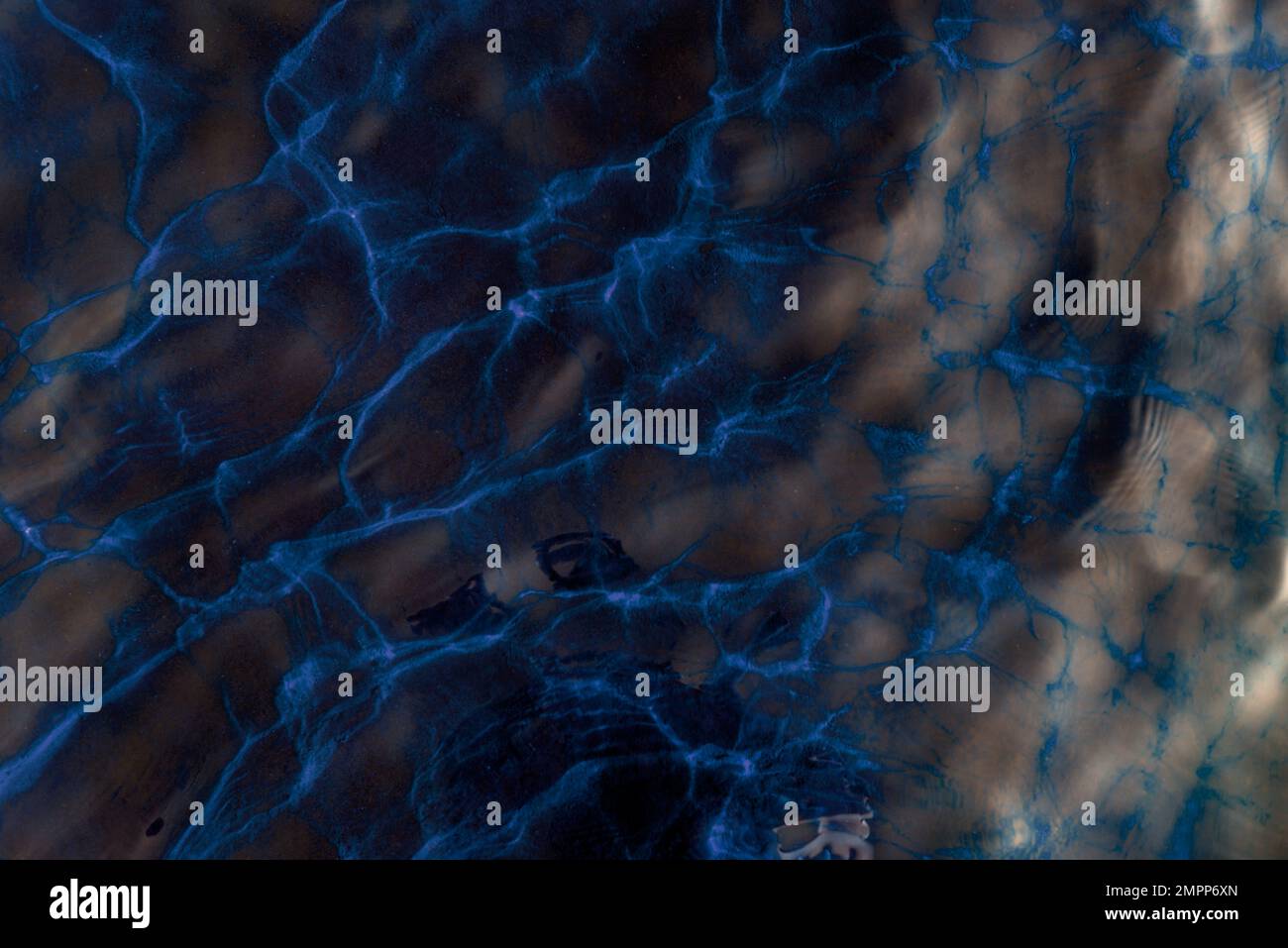 Abstract photo of the glow of the surface of transparent water with the ...