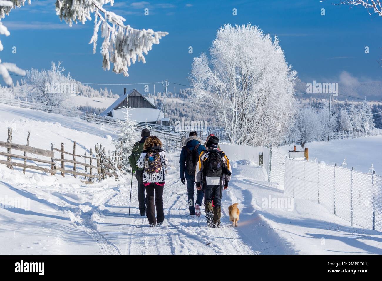 Hikers in a rural fairytale Landscape in Tihuta Pass, Piatra Fantanele ...