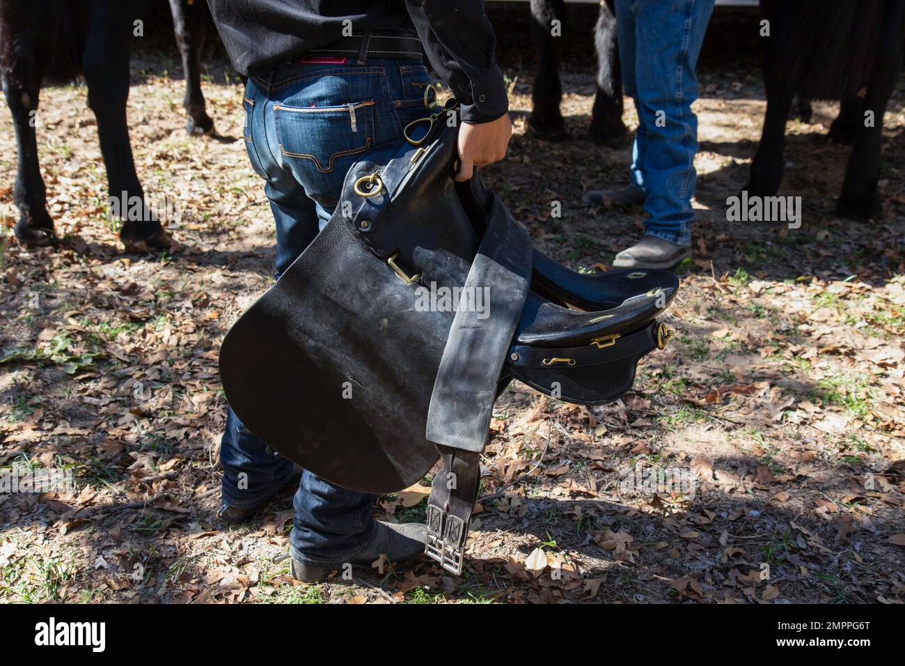 Camweek hi-res stock photography and images - Alamy