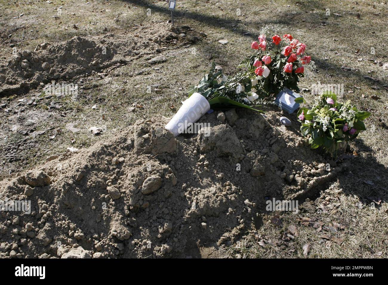 Pardes shalom cemetery hi-res stock photography and images - Alamy