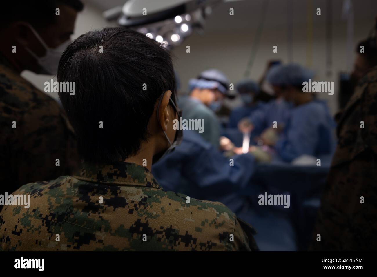 Japan Ground Self-Defense Force general surgeons conduct surgical ...