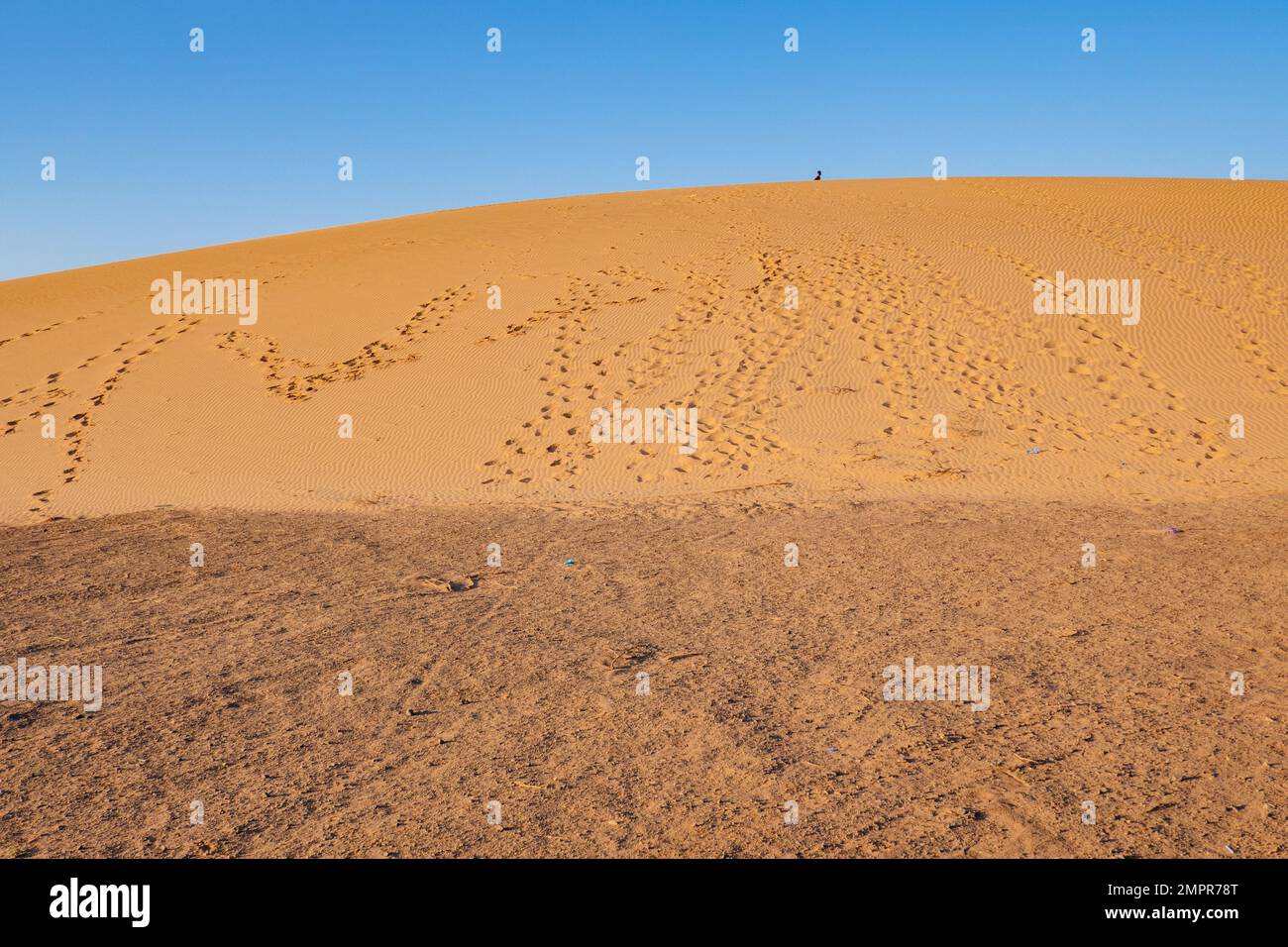 Scenic view of North Horr Sand dunes in Kenya Stock Photo - Alamy