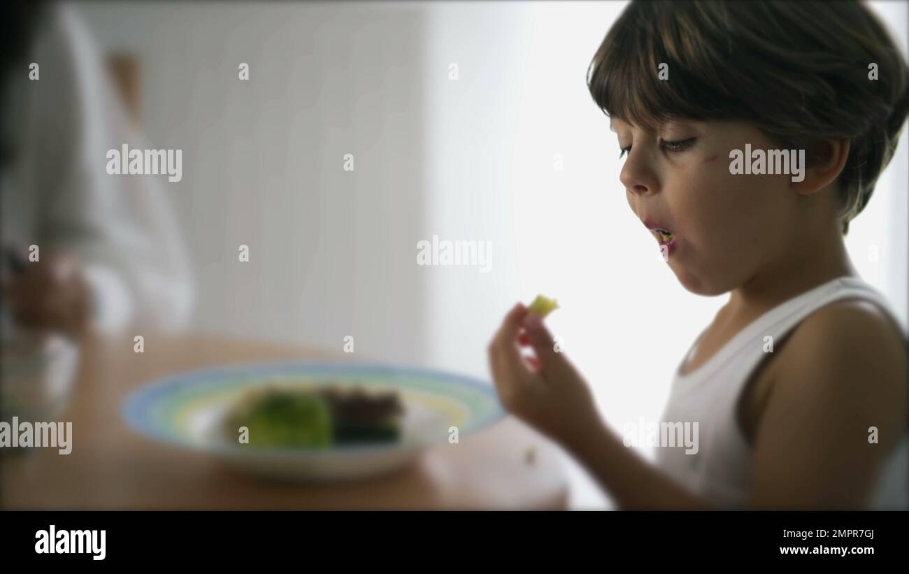Little boy eating broccoli at lunch. Child sitting at meal table ...
