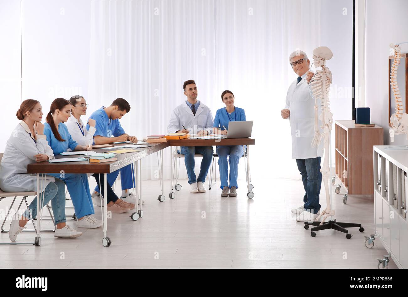 Medical students and professor studying human skeleton anatomy in ...