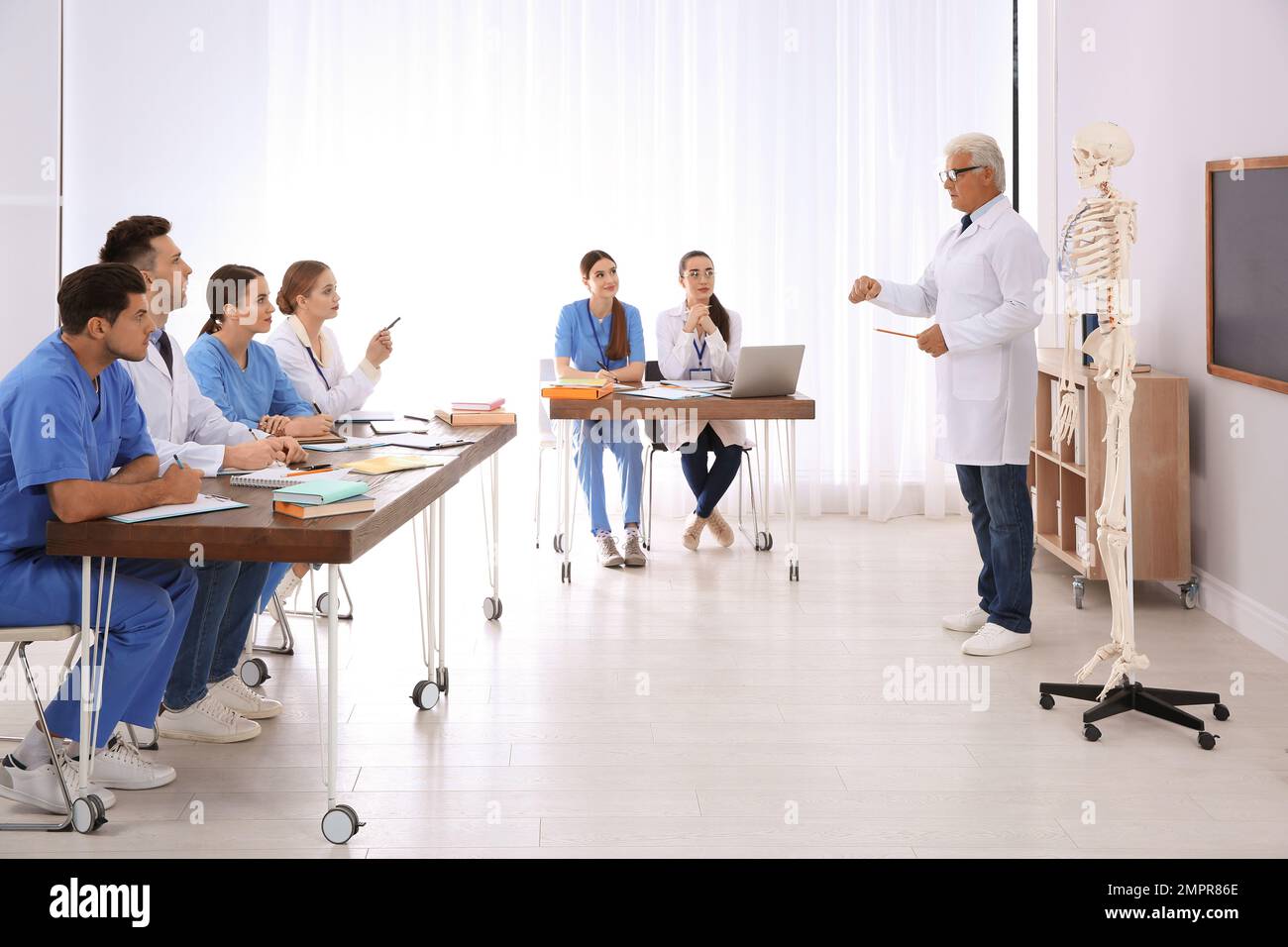 Medical students and professor studying human skeleton anatomy in ...