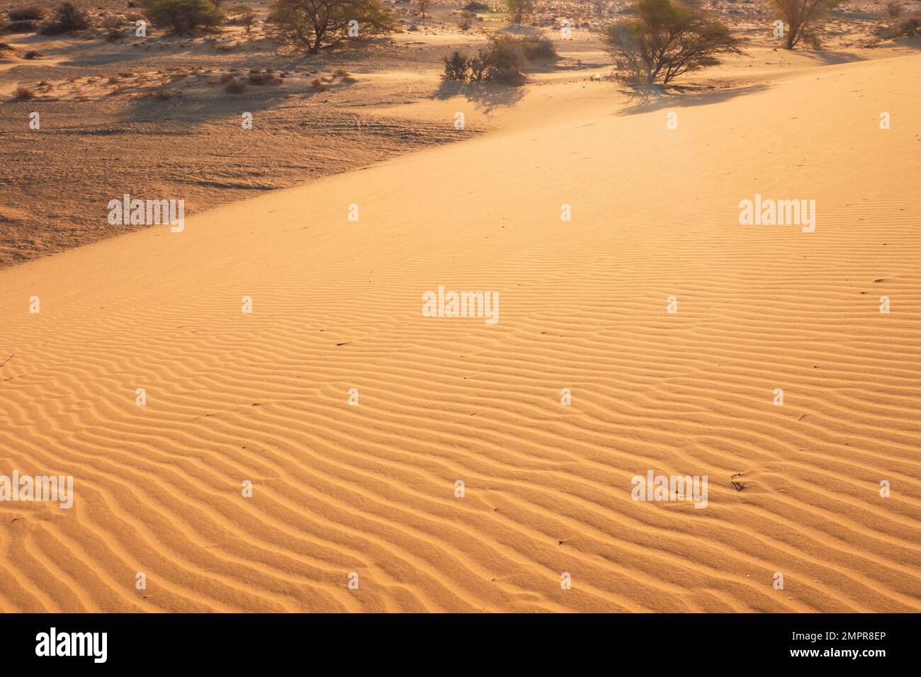 Scenic view of North Horr Sand dunes in Kenya Stock Photo - Alamy