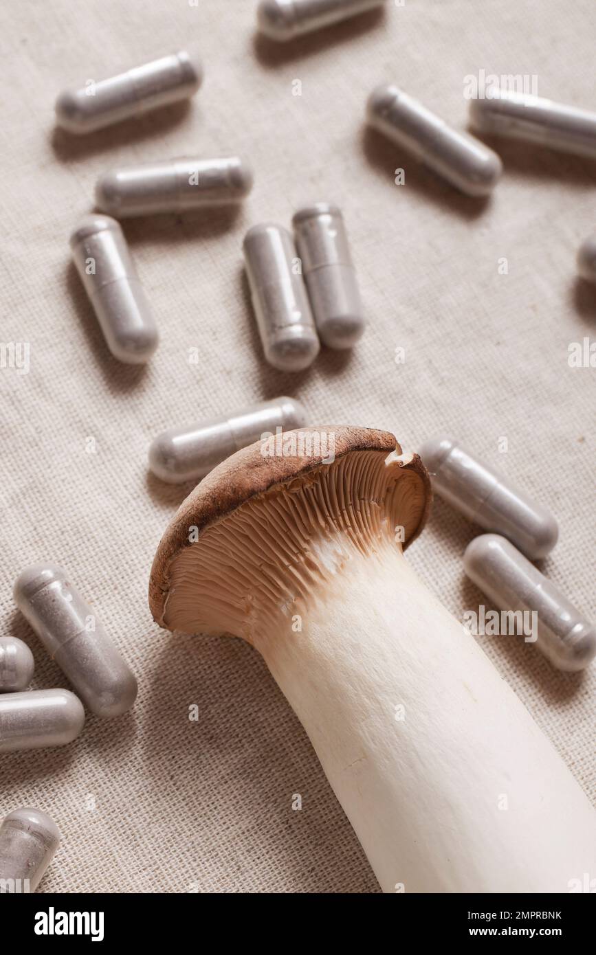 mushroom and natural herbal pills on textile gray background ...