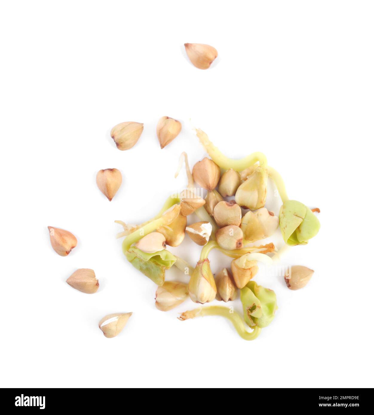 Sprouted green buckwheat grains isolated on white, top view Stock Photo ...