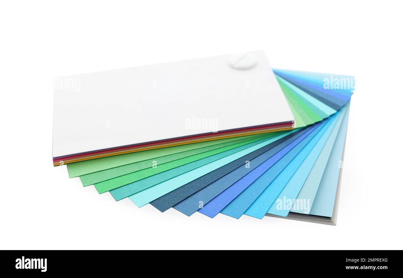 Color palette isolated on white. Professional samples Stock Photo - Alamy