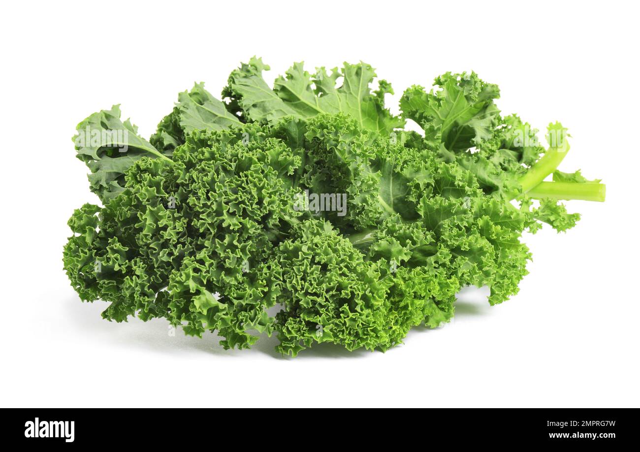 Kale garden leaves Cut Out Stock Images & Pictures - Alamy