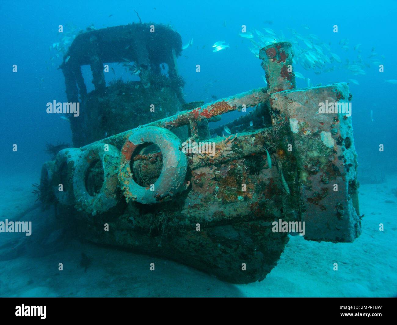 The fish swimming near a sunken ship at the bottom of the sea Stock ...
