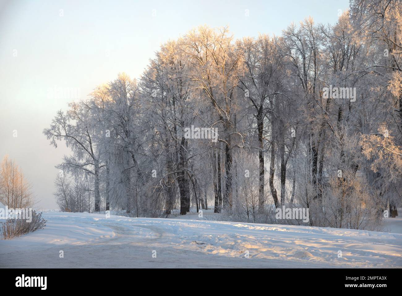 Edge forest road hi-res stock photography and images - Alamy