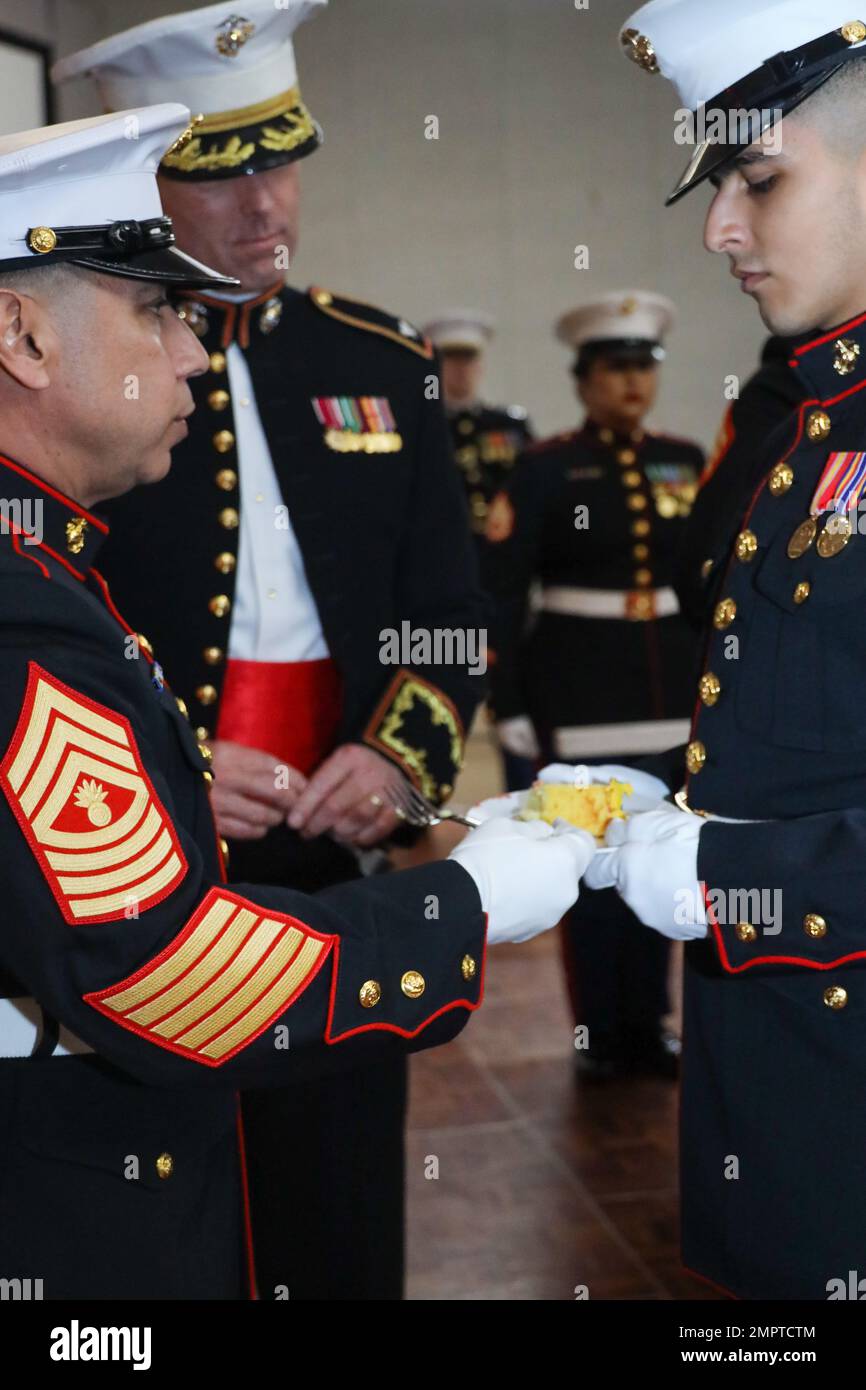 U.S. Marine Corps Master Gunnery Sgt. Michael Rivas, the 6th Marine ...