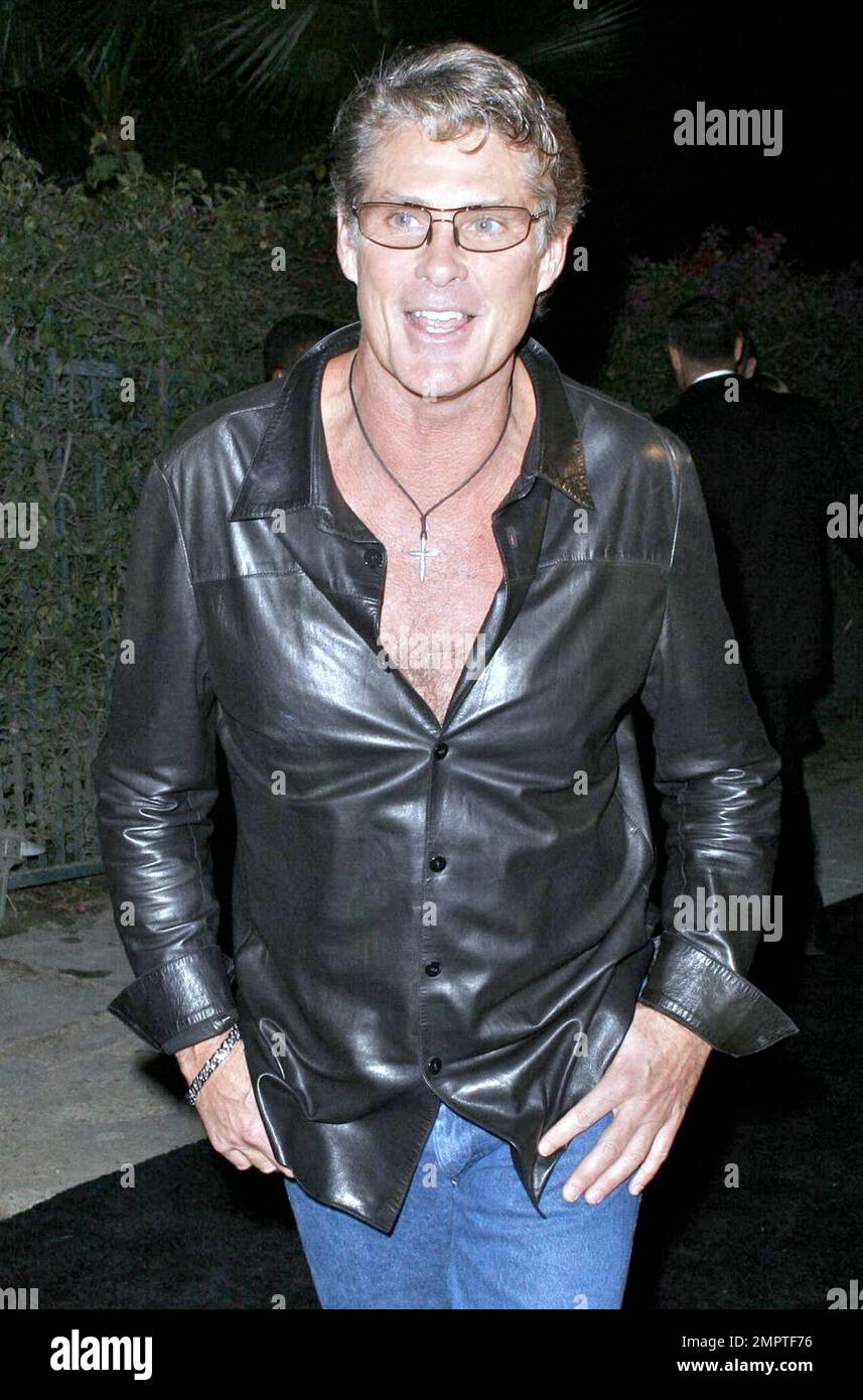 David Hasselhoff made his first public appearance following the release ...