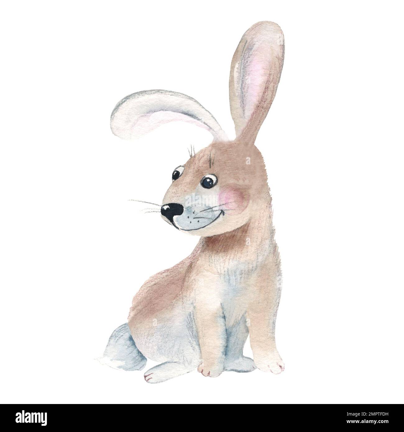 Cute rabbit isolated on white background. Watercolor hand drawn ...