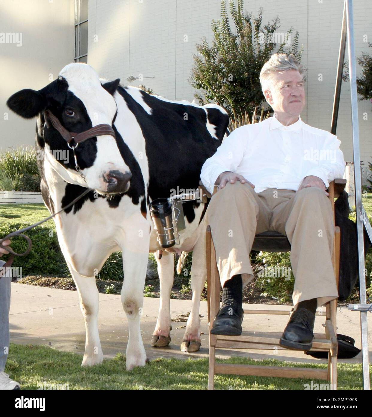 Laura Dern David Lynch